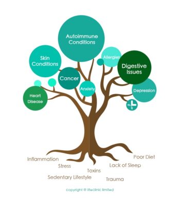 Functional Medicine – Marseille Quincé