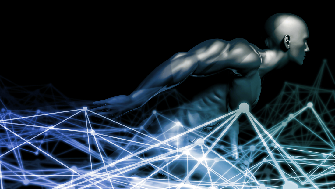 Biomedical Imaging – Marseille Quincé